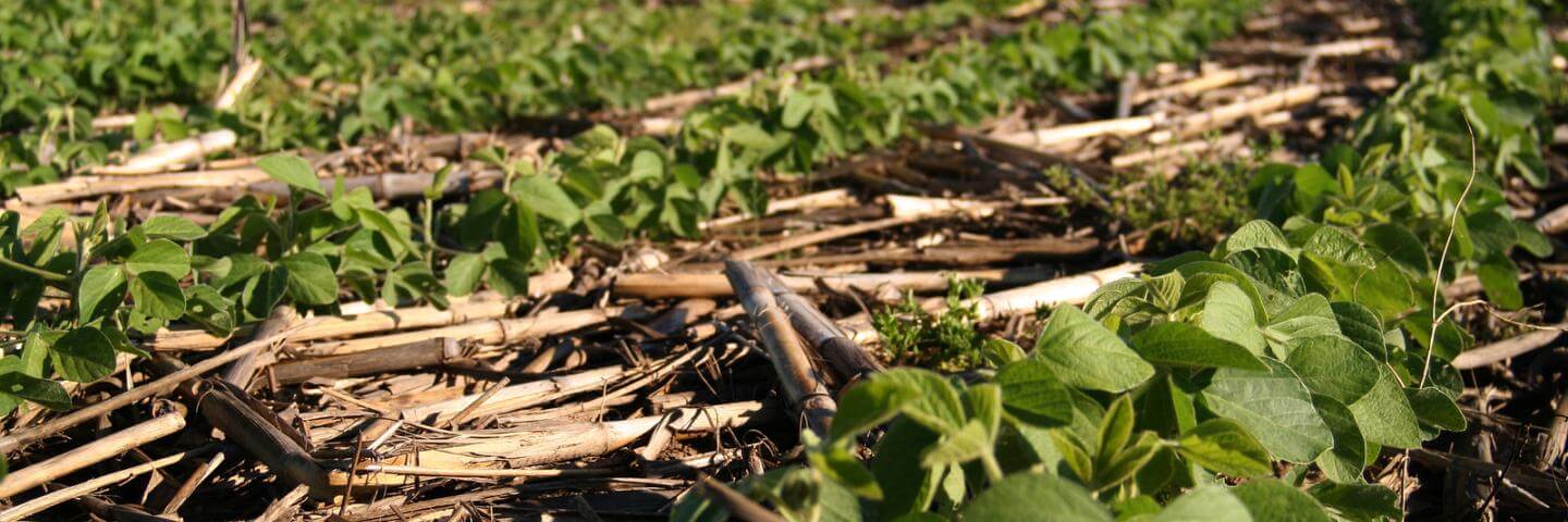 Soil Cover - Nebraska Strategic Ag Coalition